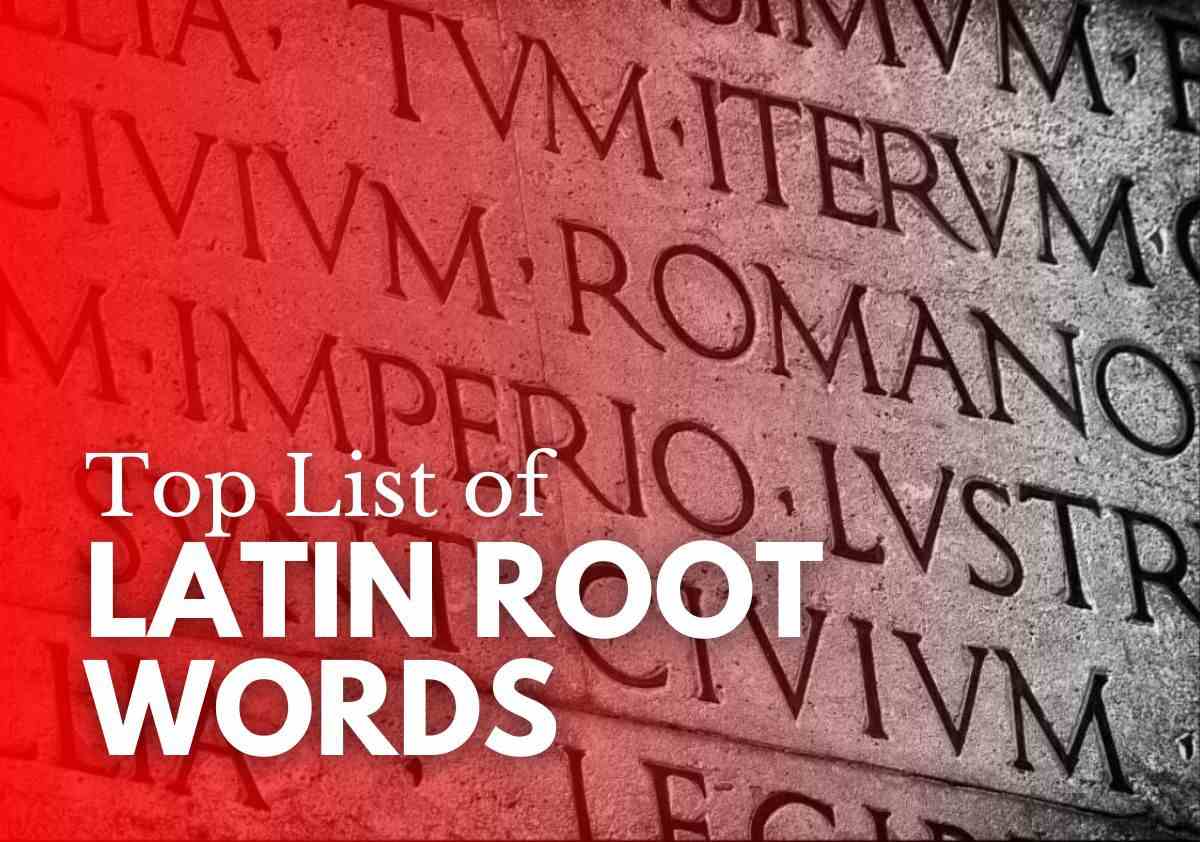70+ List Of Latin Root Words