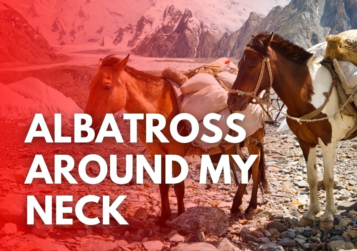 Albatross Around My Neck – Idiom Meaning & Origin