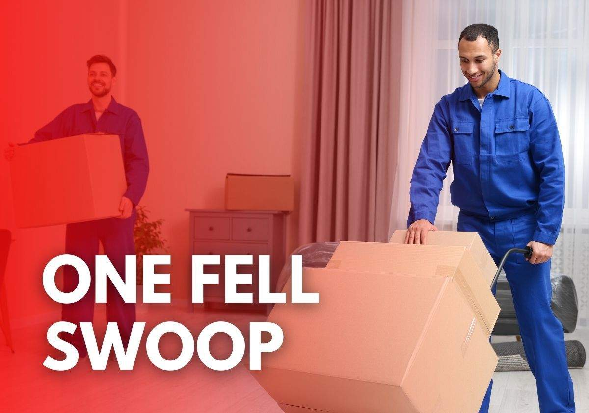 One Fell Swoop: Meaning, Origin & Correct Usage